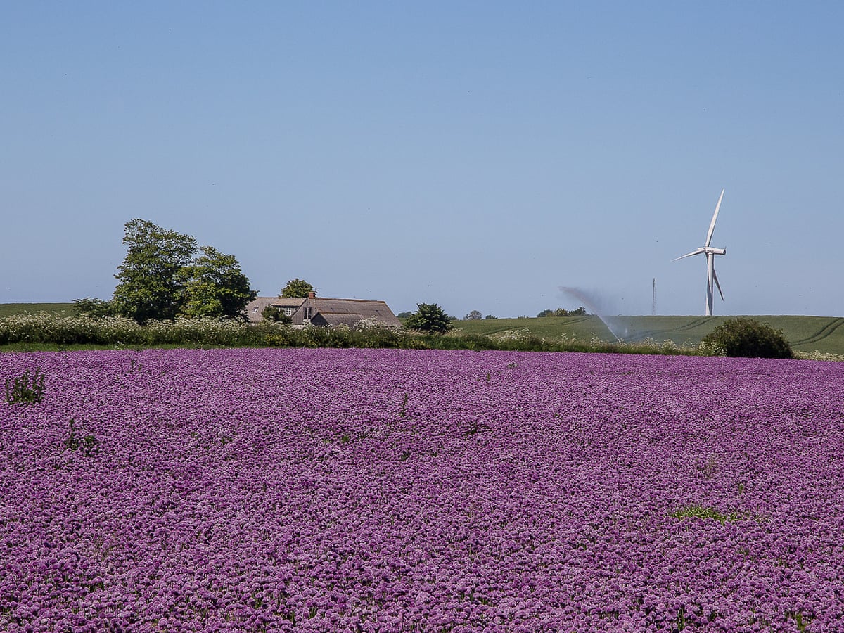 The Renewables Evangelist: Samsø – Sunpro Energies